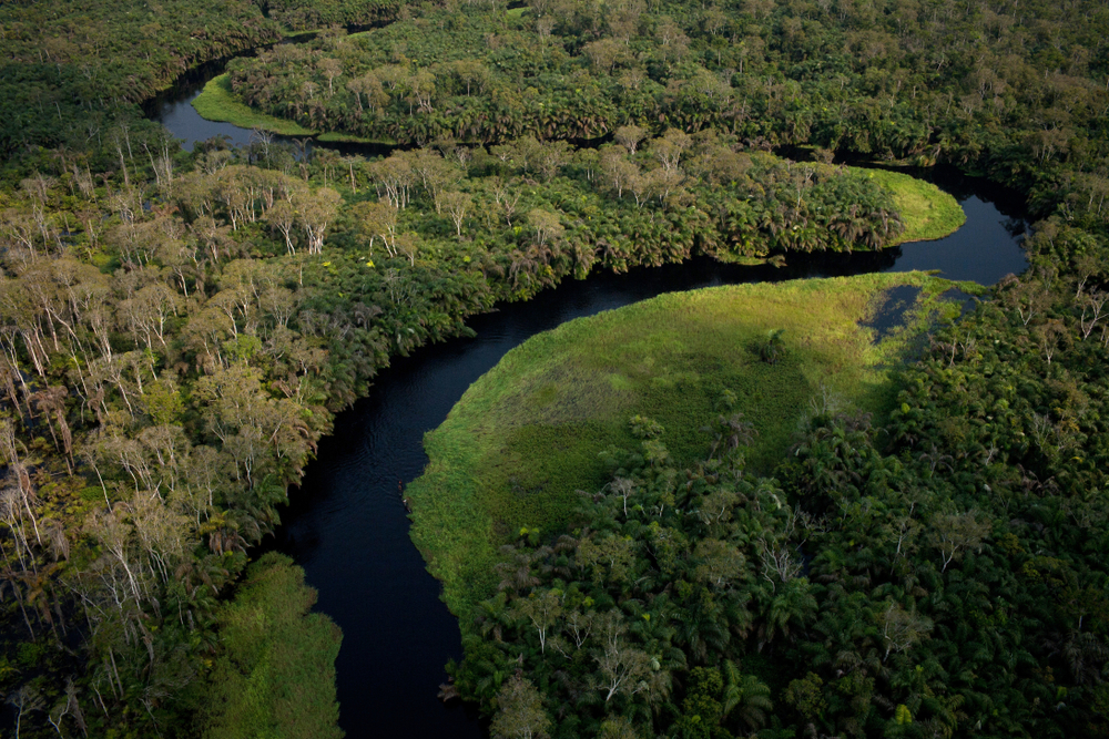 Congo Tours: Best 6 Genuine Tour Packages And Travel Deals