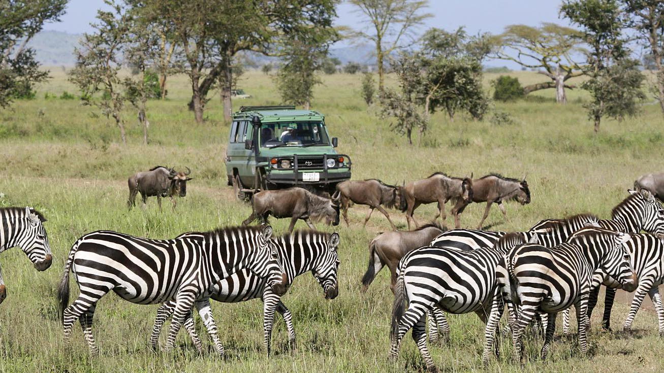 Tanzania Tours And Top Pick Packages, Best Price Guaranteed