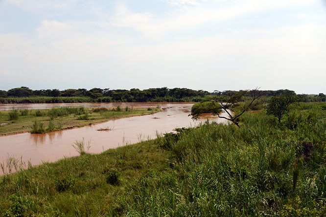 Best 4 Burundi National Parks: Wildlife Tours & Things To Do