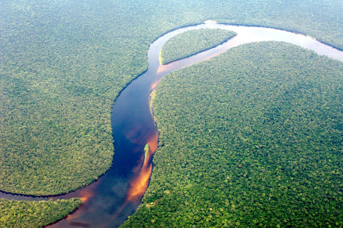 The Best 10 Reasons Why You Should Visit Congo In Africa