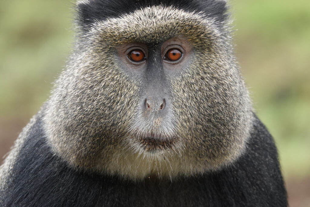 Where Is Rwanda | Location | Country Profile And Attractions