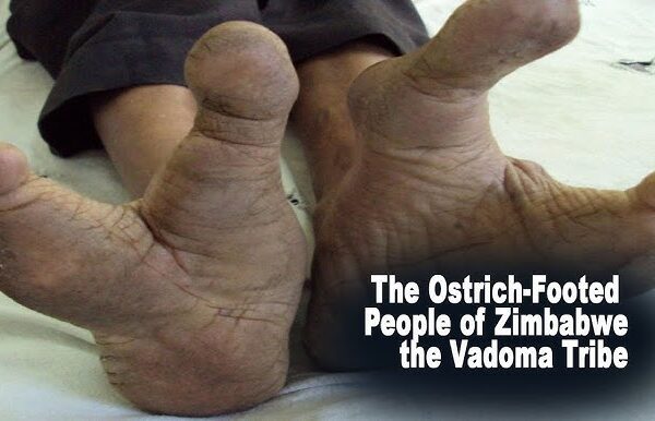 The Vadoma People: Facts, Feet, Hands, And Tribe Location.